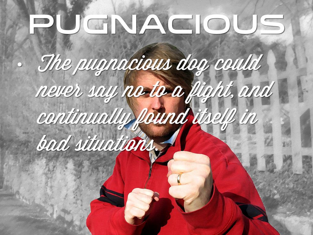 Sat Vocab 4 by Michael Siggins