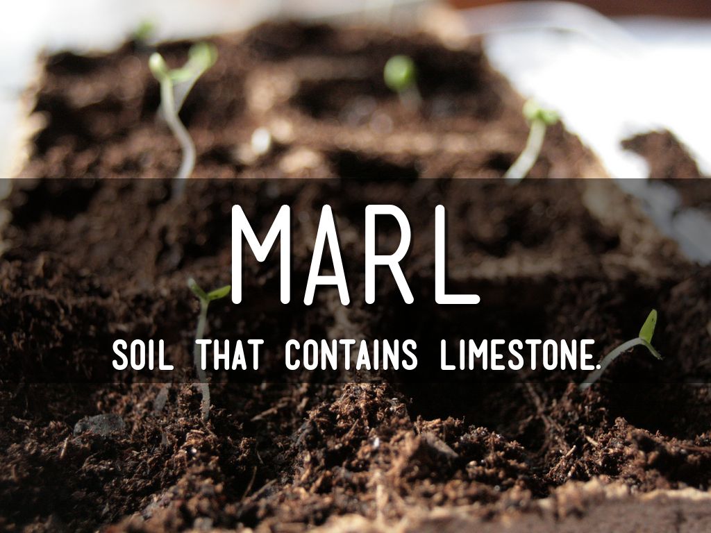 words for a day at fairchild by egulaskey