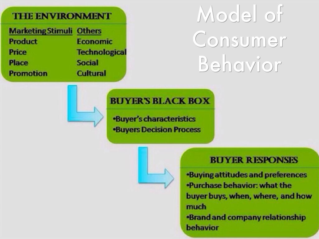 groupie 2 consumer markets and behavior by Elaine Tan