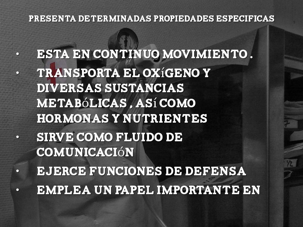 Citlalli Delgado FITZ 1 by Felipe Bedolla