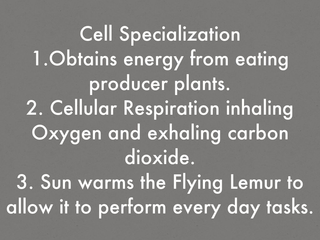 Nate Engstrom and Sean Prendiville by nlee.engstrom