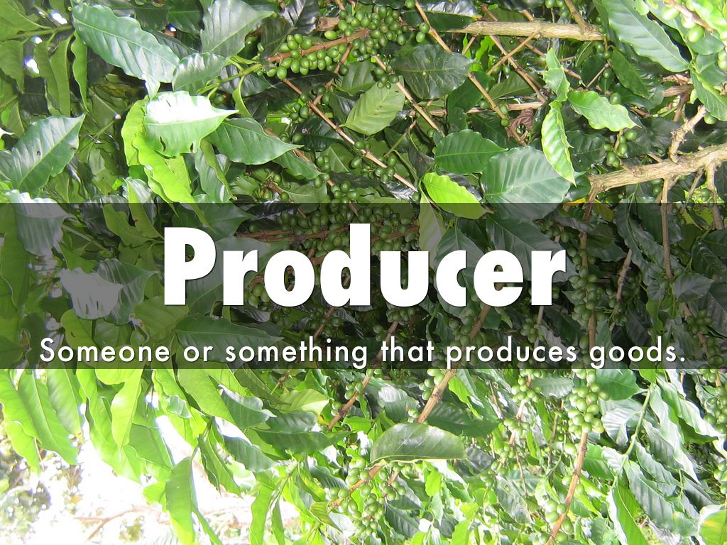 Ecosystems by steven.skaggs