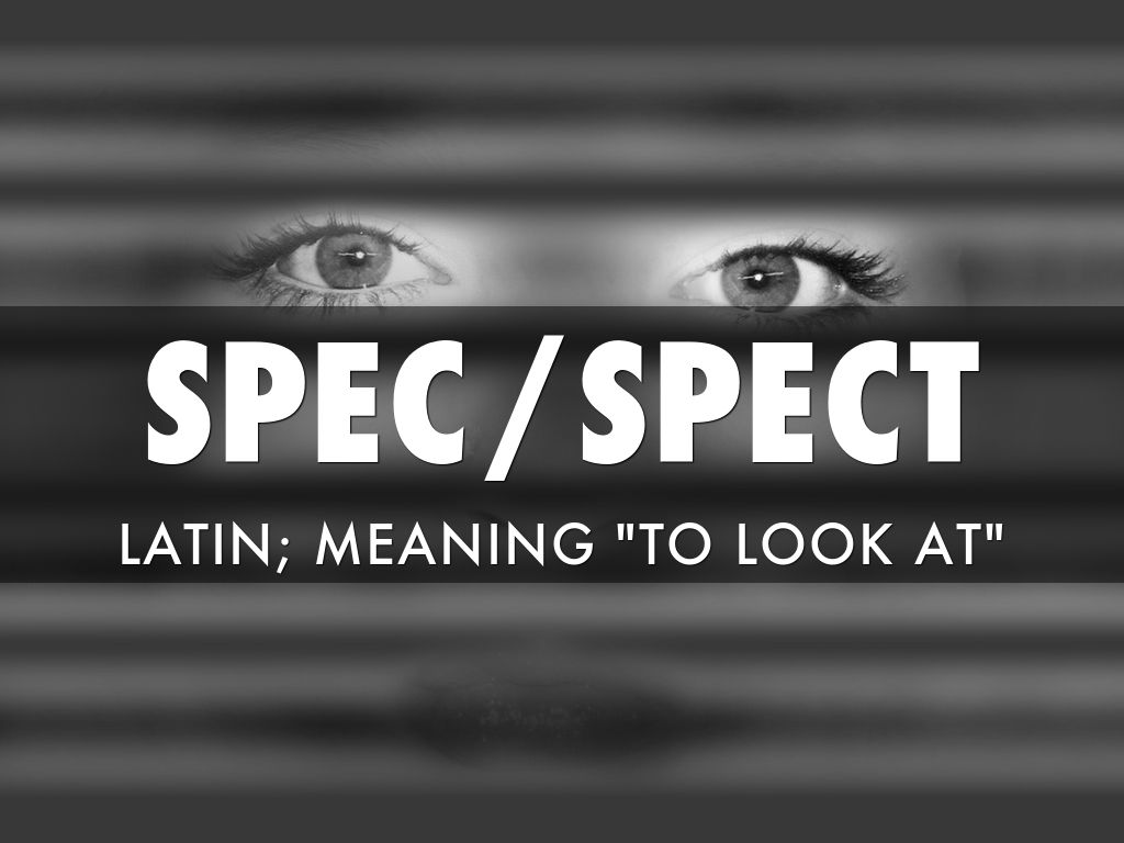 Roots Study Guide by Riya