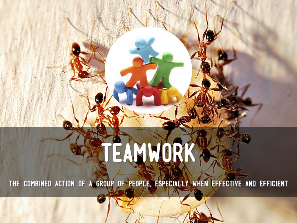 TeamWork by Douglas McLane