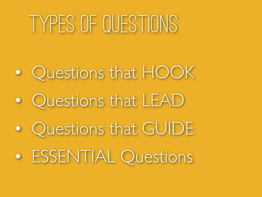 Essential Questions by Sonya terBorg