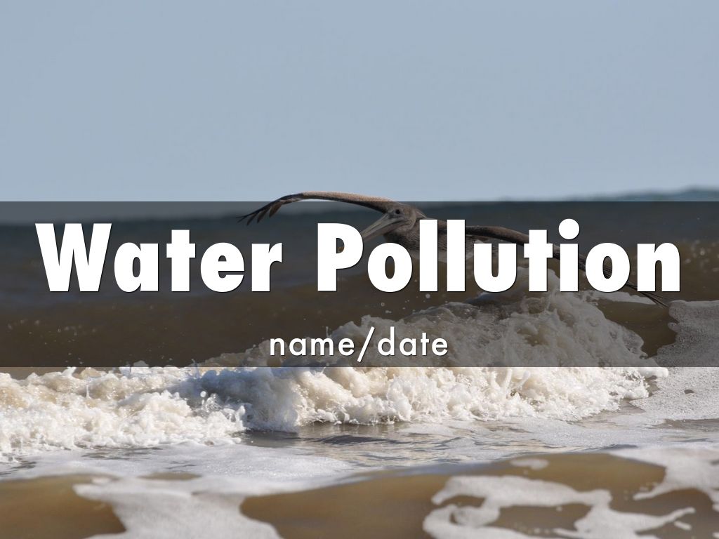 Water Pollution Images With Names Free Images - Infoupdate.org