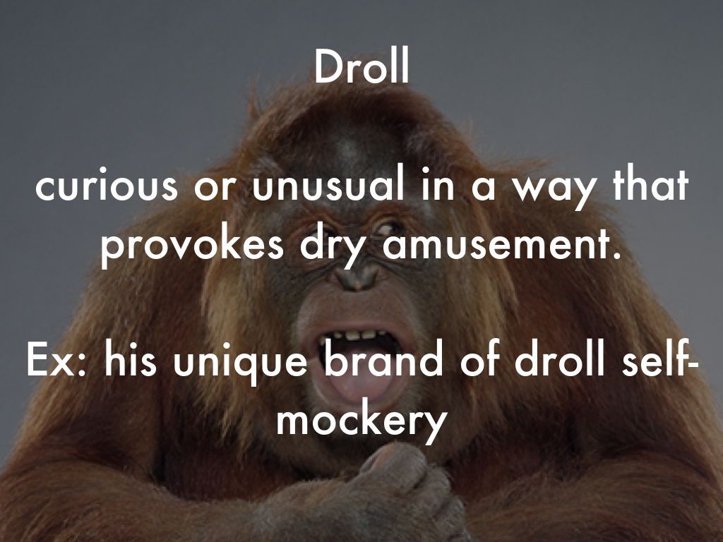 Vocab. Project by Luke Arriaga