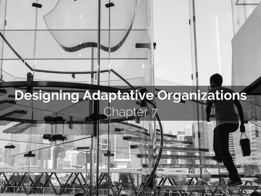 Designing Adaptative Organizations by Yubia Fernandez