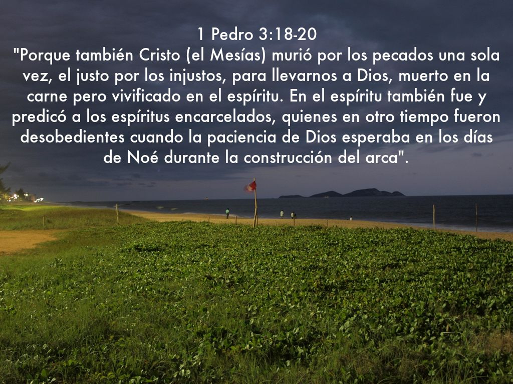 Existencia Consciente By David Agreda