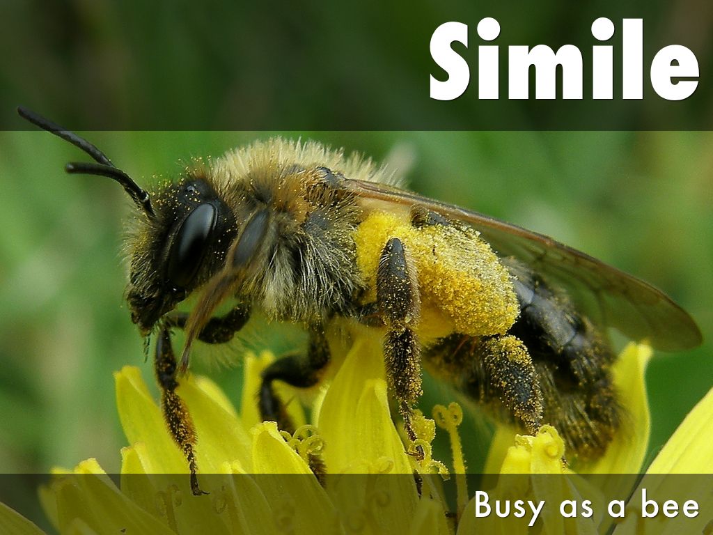 Figurative Language by laughlink