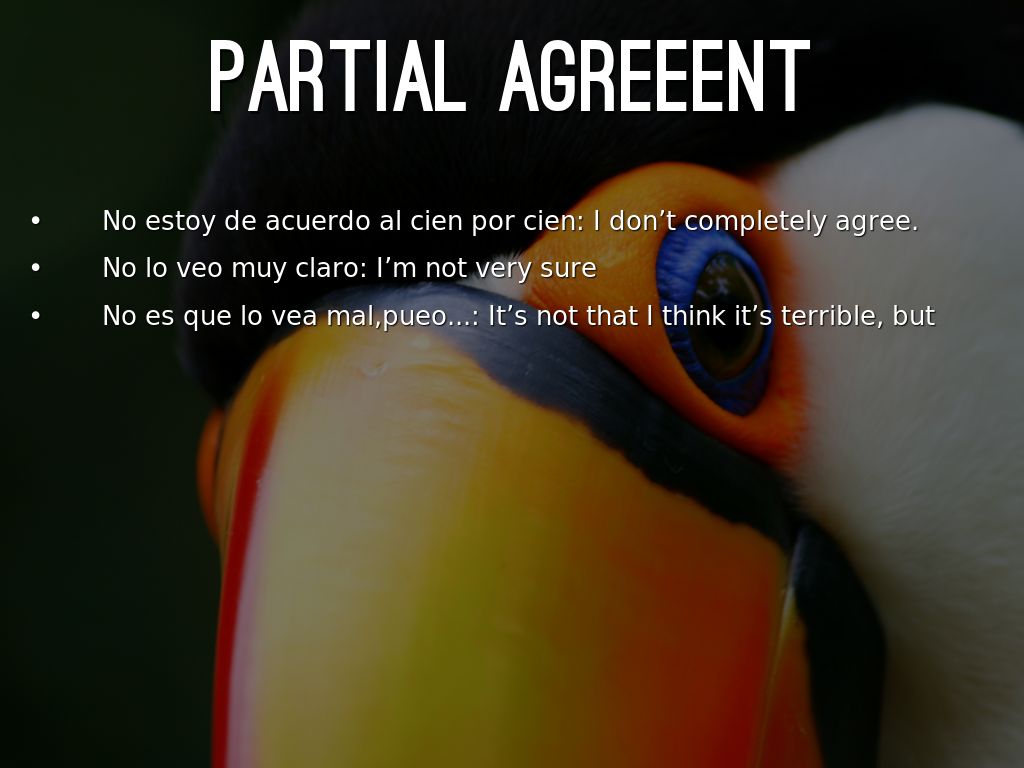 Agreement and Disagreement in SPANISH by Kathryn