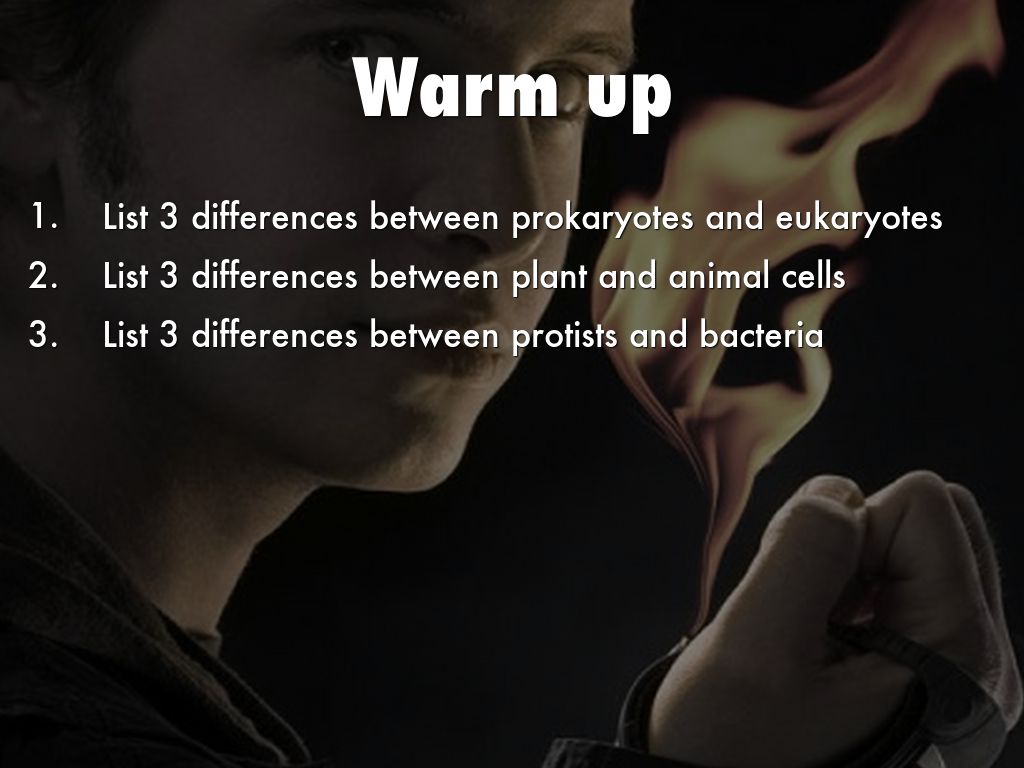 Unit 5 Cells by Maria Neumann