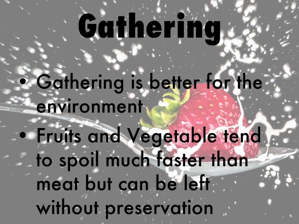 In The Wild by mizzkoolness