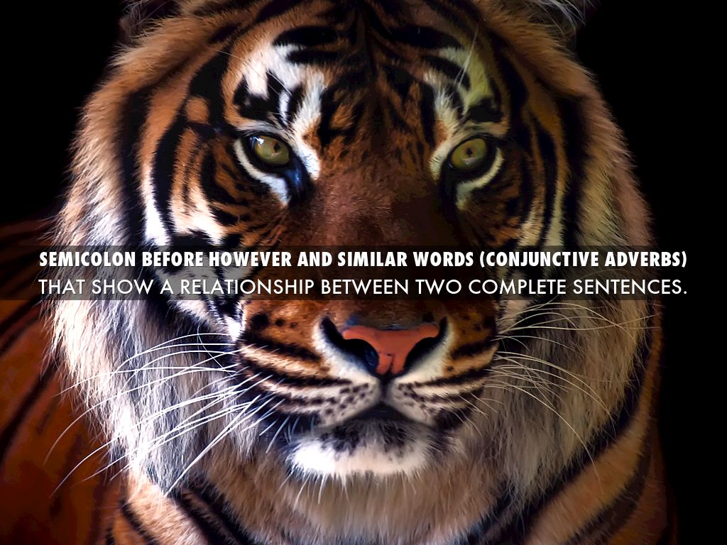 SEMICOLONS by Deborah Rode, NBCT