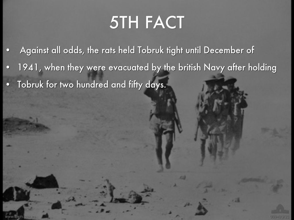 The Rats of Tobruk by 164344