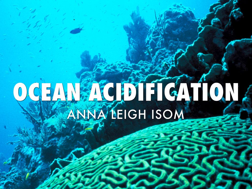 Ocean Acidification by Anna Leigh Isom