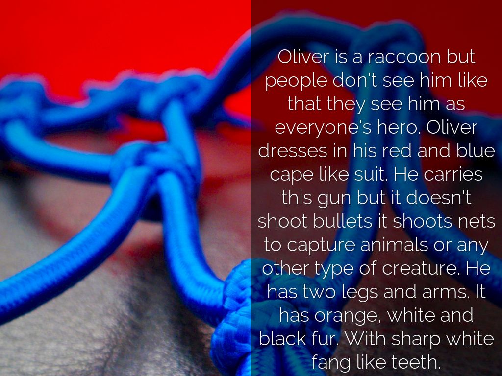 hero's Journey. by Laney Lopez