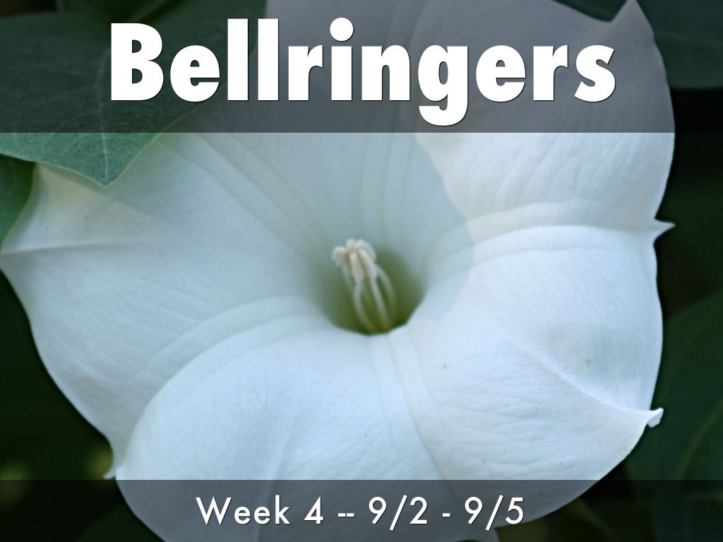 Bellringers by Tammy Fite