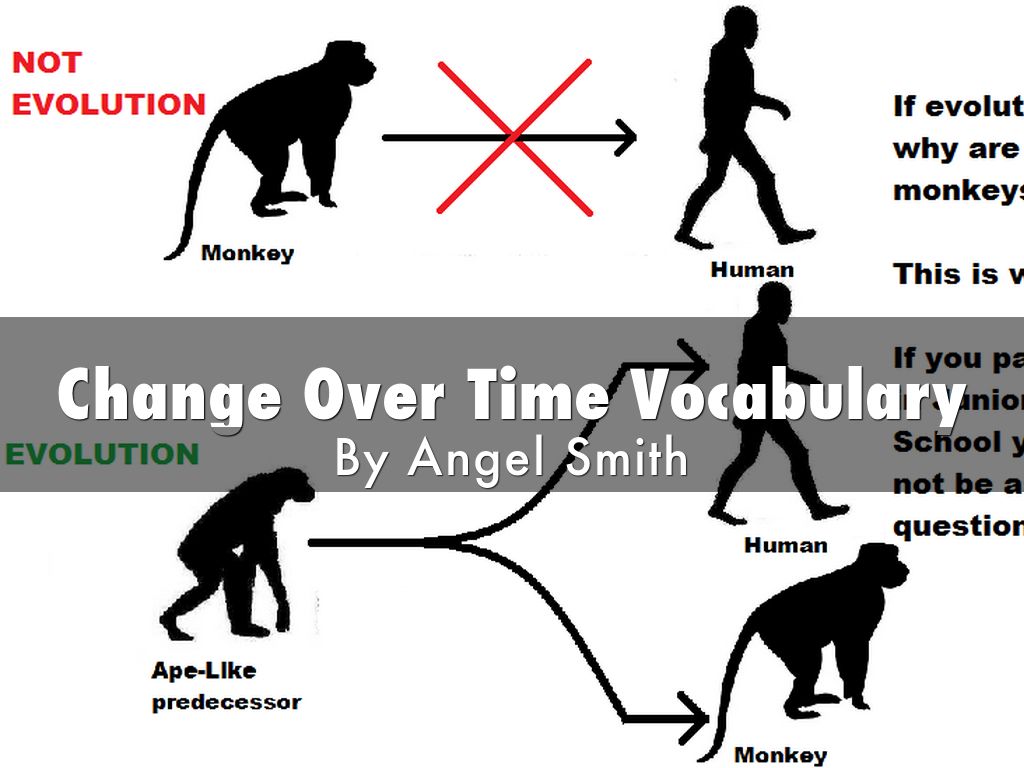 Change Over Time Vocabulary by angelica.smith24
