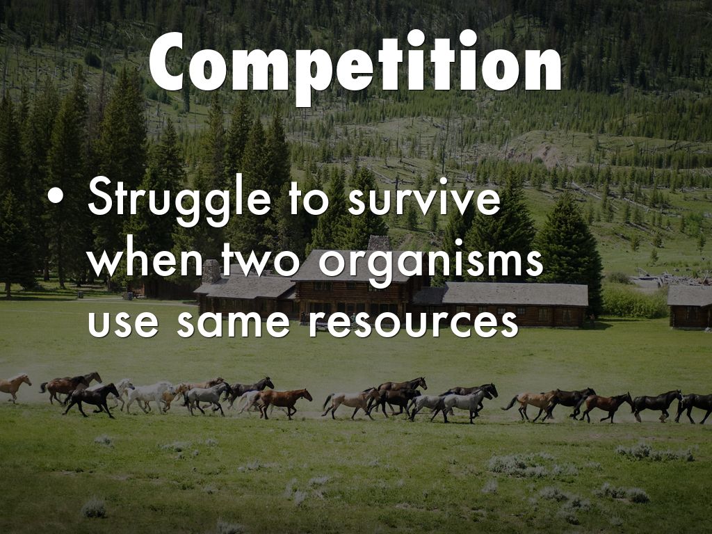 Environmental by Alyssa Mosier