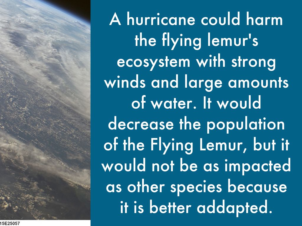 Nate Engstrom and Sean Prendiville by nlee.engstrom