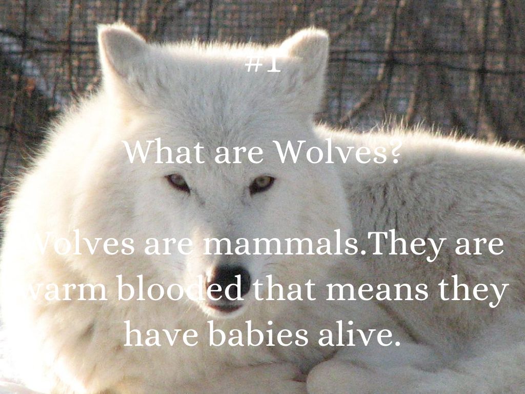 List Article by Sofia P