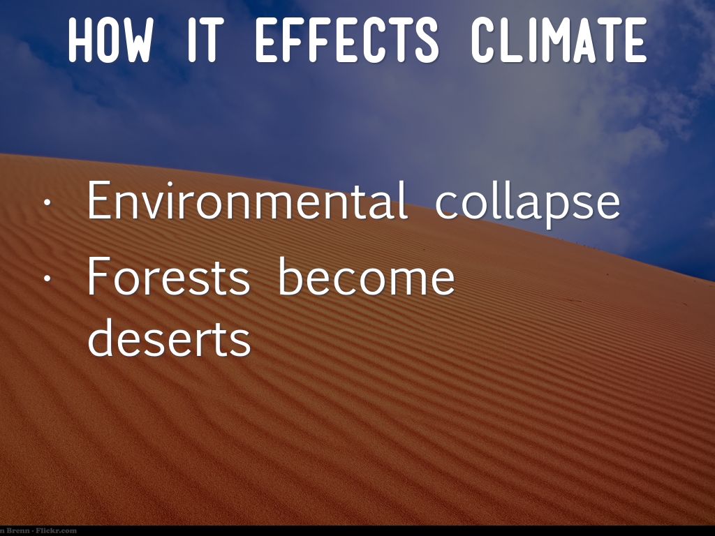 Copy of Ted Talk by Anthony Zimmerman