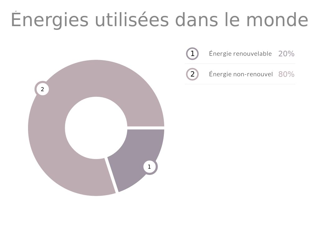 Les énergies non-renouvelables by Ana Bisson