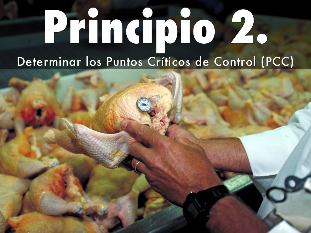 HACCP pasos by informes