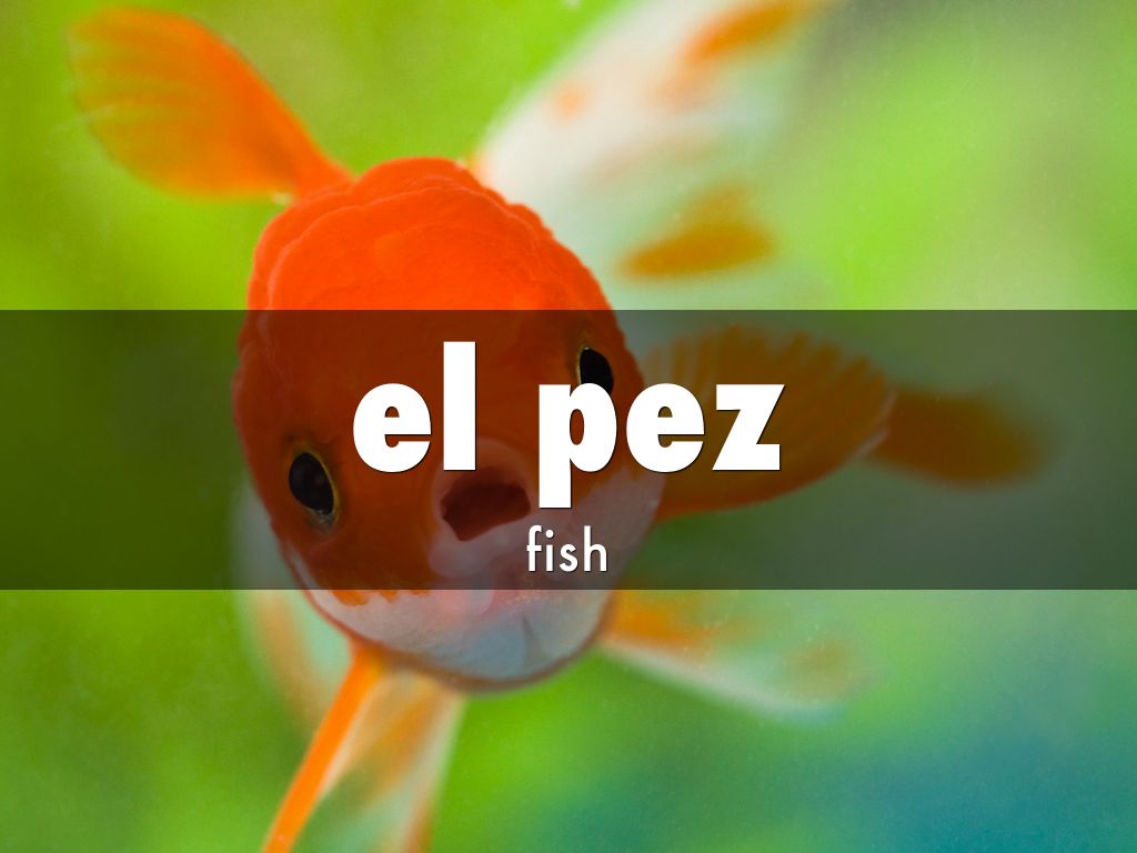 spanish 3 unidad 1 leccion 1 by carriesaylor333