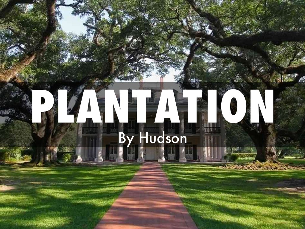 PLANTATION and small farms by bellonh20