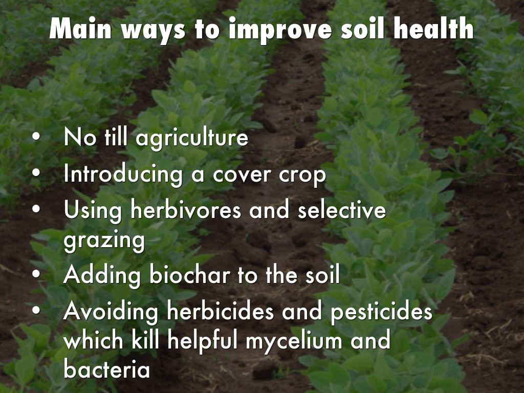 Soil Health by Zumb Oggo
