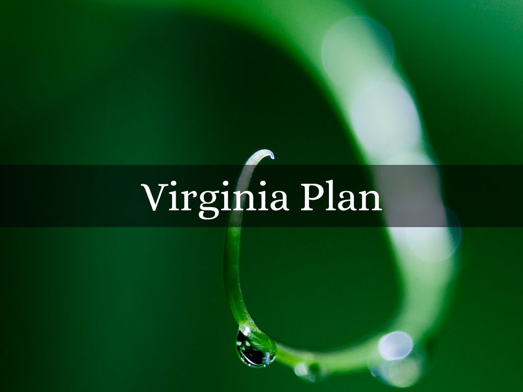 Social Studies by Abbigail Stethem