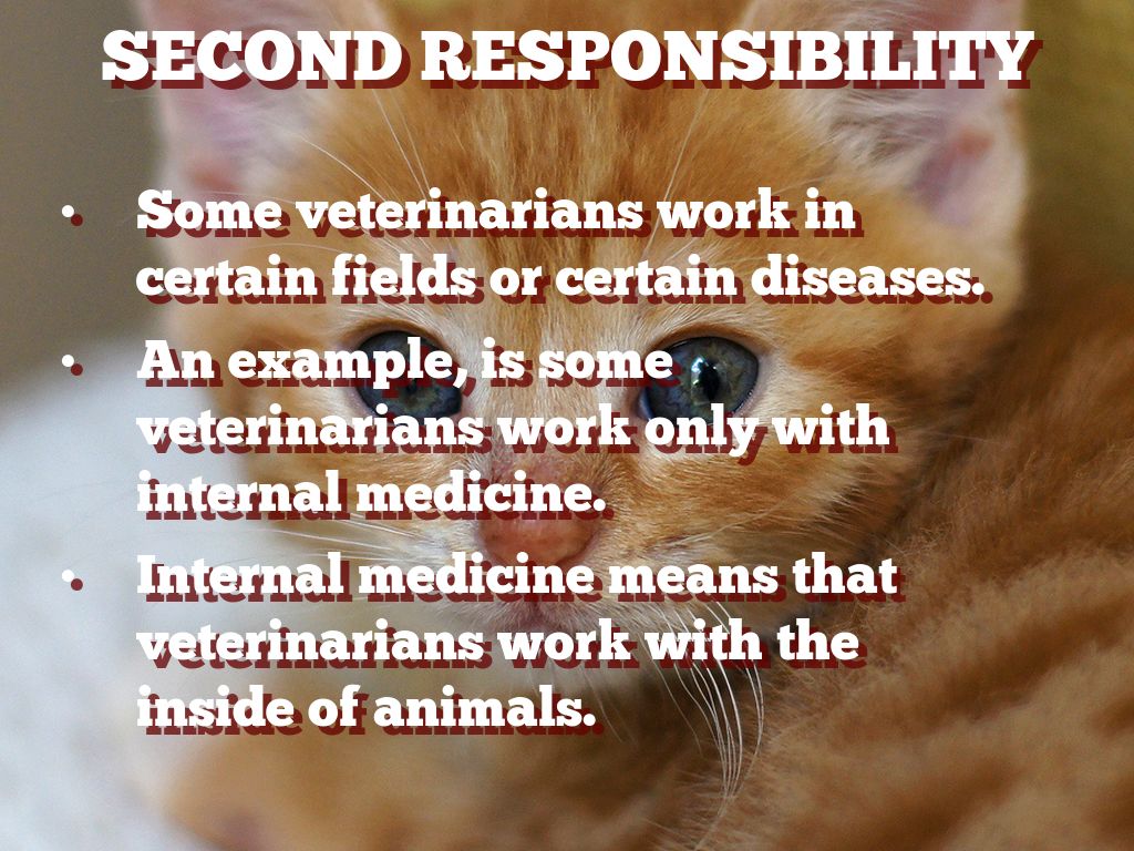 veterinians by Samantha Feduccia