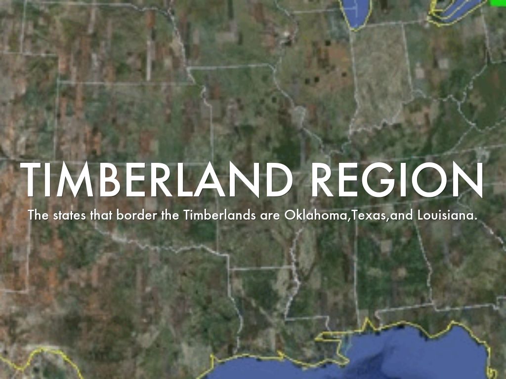 timberland region by shes3