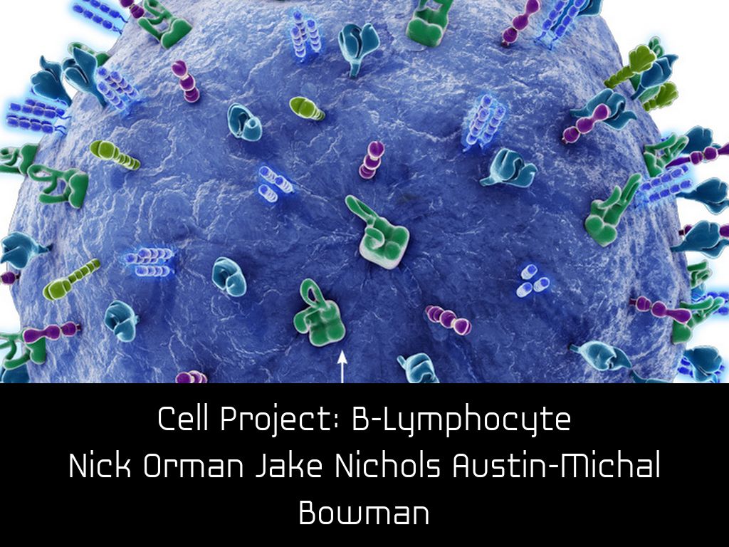 Cell Project by nickorman0