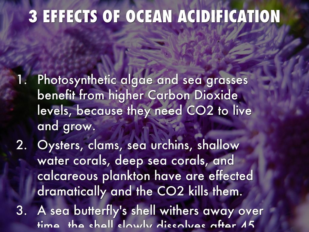 Ocean Acidification by Anna Leigh Isom