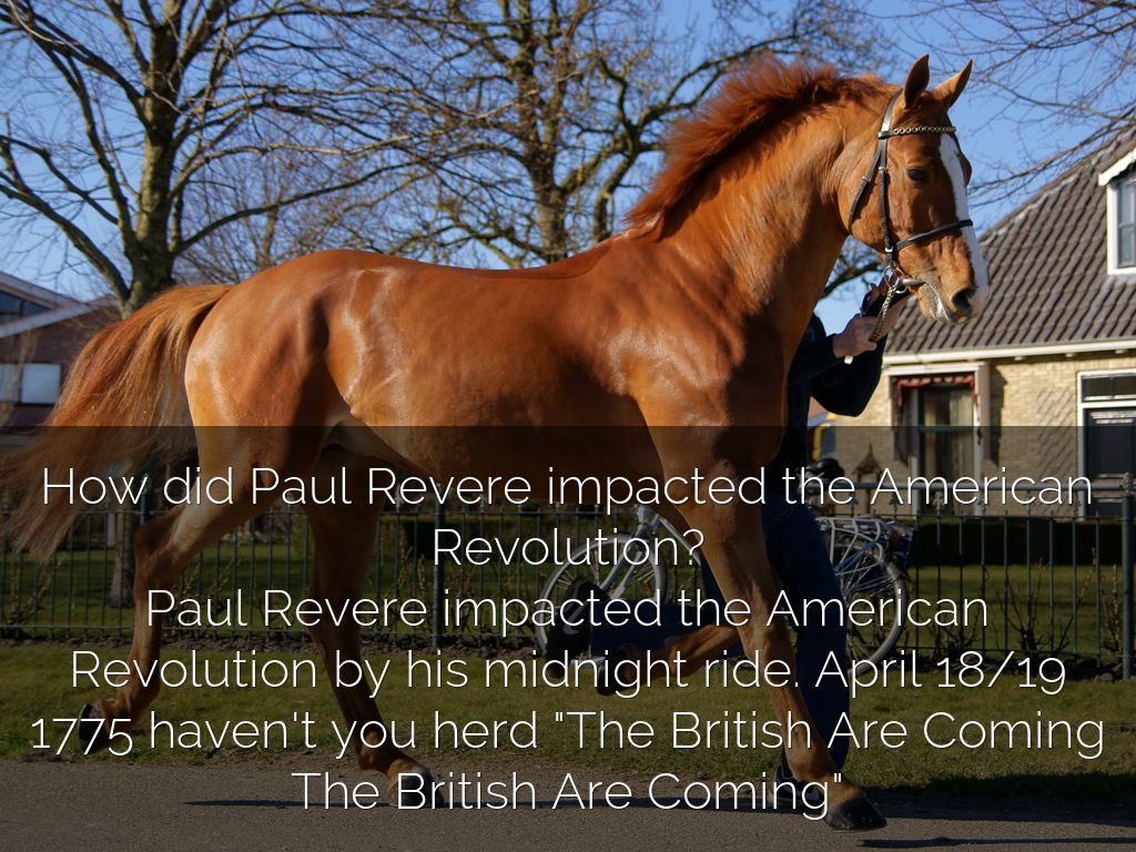 Paul Revere by Emma Abrantes
