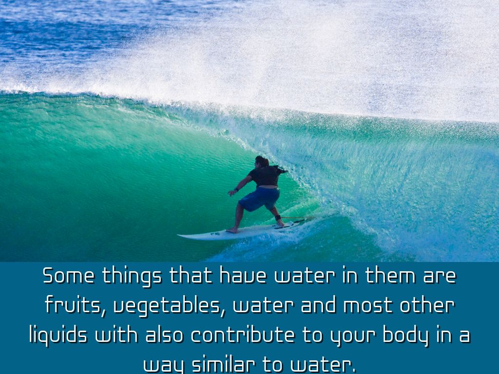 6 Types Of Nutrients by Rachel Shamblott