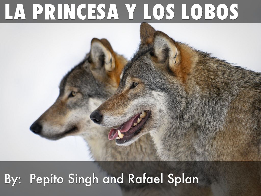 La Princesa y Los lObos by hayden splan