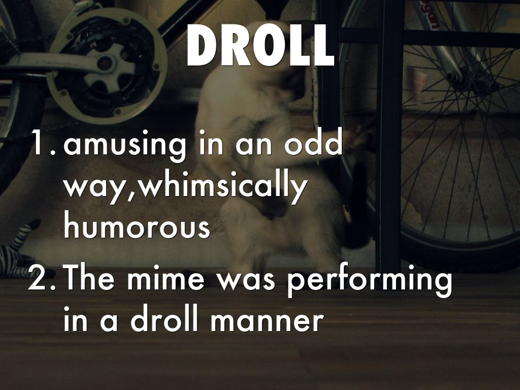 Vocabulary Project by Cyler Burch