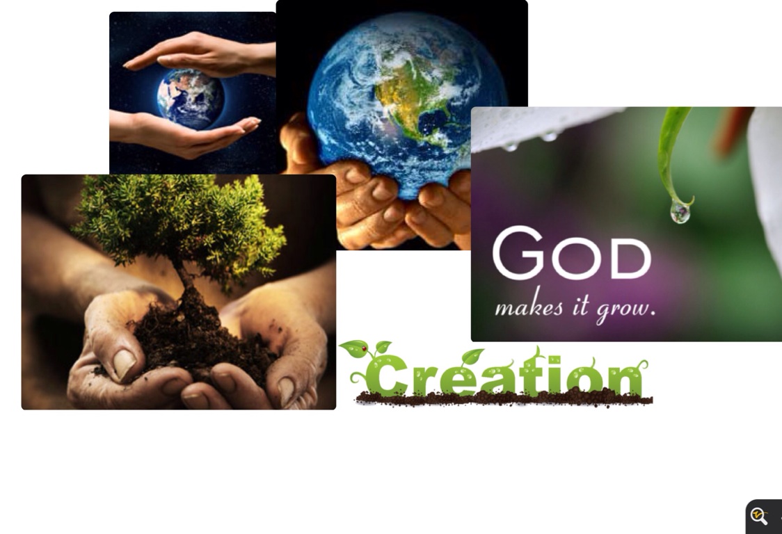 Catholic Social Teaching Care For Gods Creation