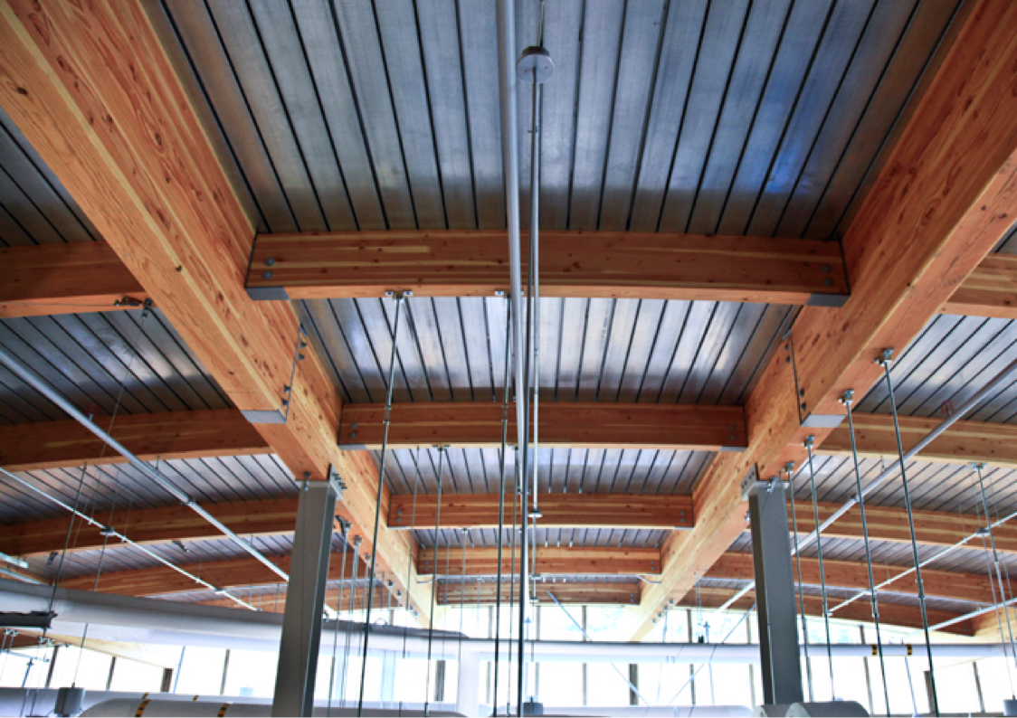 Support Beams Of A Cell - The Best Picture Of Beam