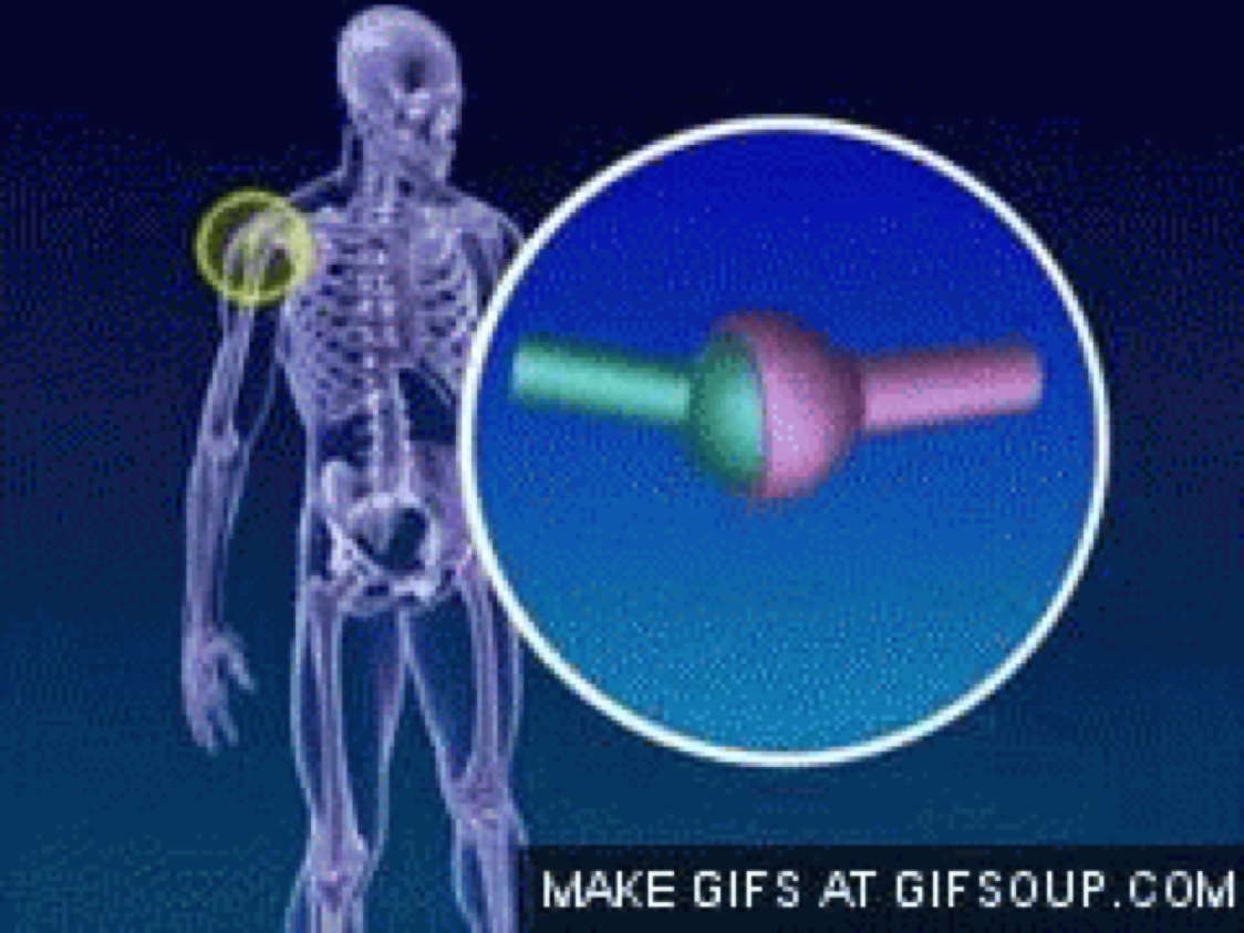 Ball And Socket Joint Animation