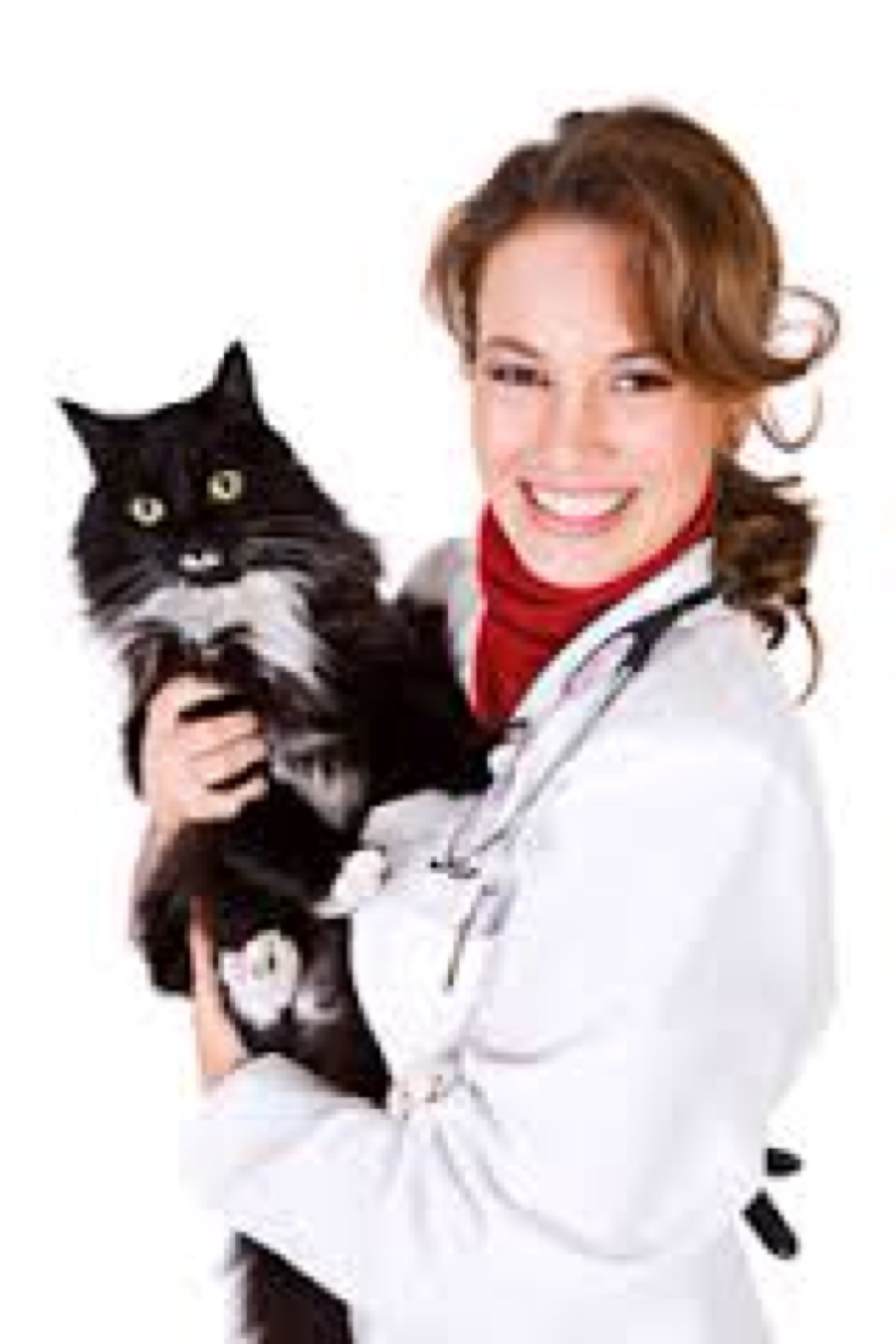 Title by Jason Stroup