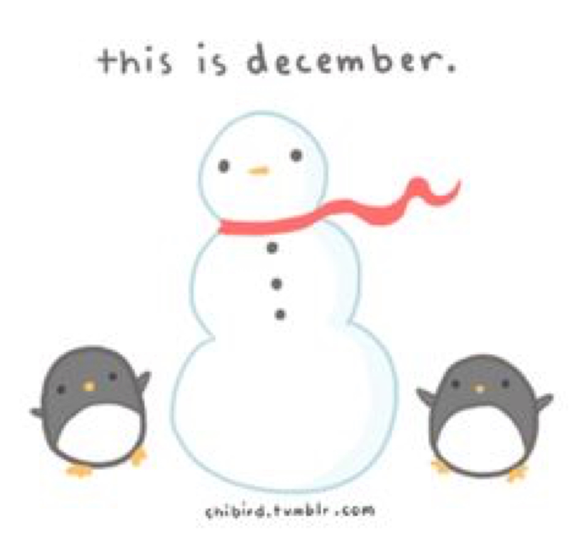 Chibird Tumblr Penguin