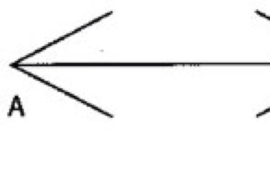 The Perils And Powers Of Intuition by Tara Mathis