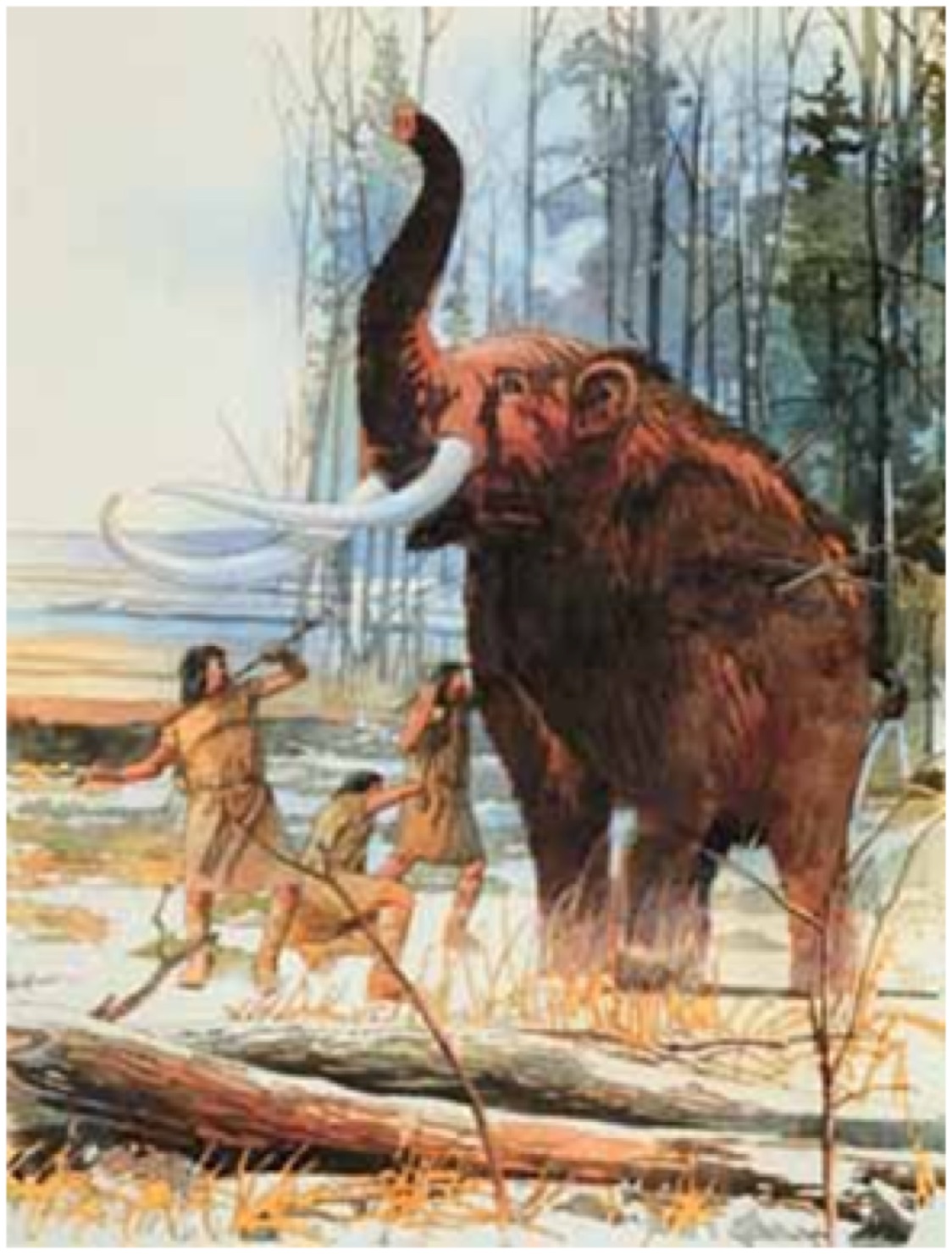 Cro Magnon Hunting