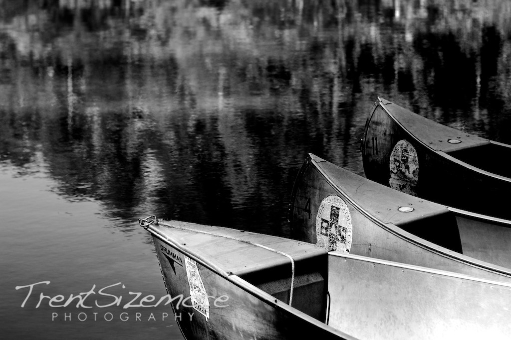 Unity Photography Examples