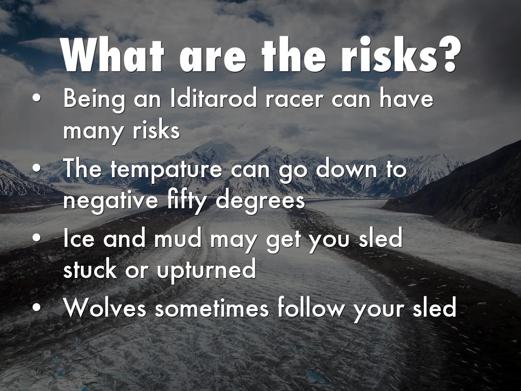 Iditarod by Conor Considine